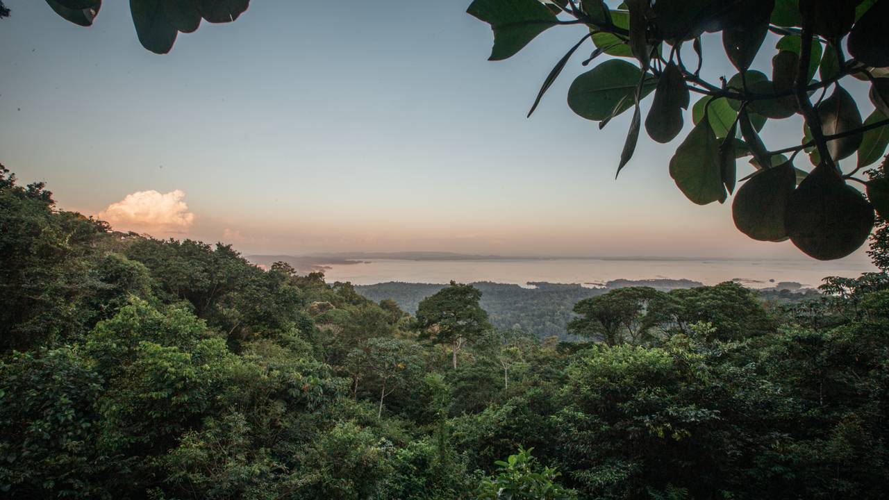 Ontdek Suriname: Paramaribo, jungle & Bigi Pan | Voja Travel