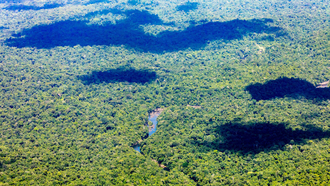 Ontdek Suriname: Paramaribo, jungle & Bigi Pan | Voja Travel