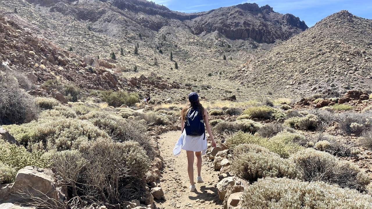 Wandelreis: de mooiste plekken van Tenerife en La Gomera | Voja Travel